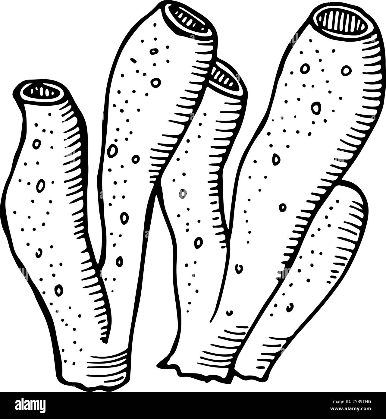 Coral polyp vector hi-res stock photography and images - Alamy