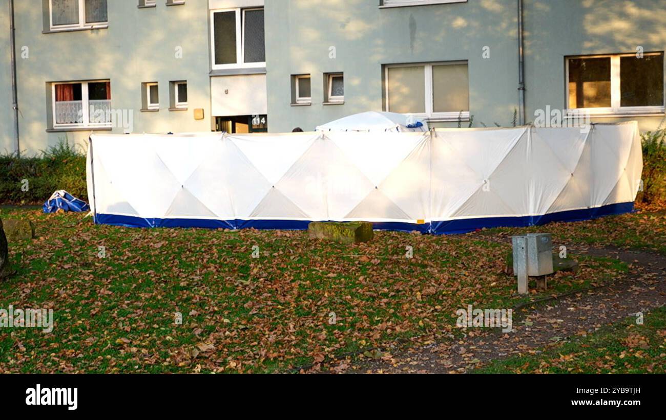 38 jährige frau hi-res stock photography and images - Alamy