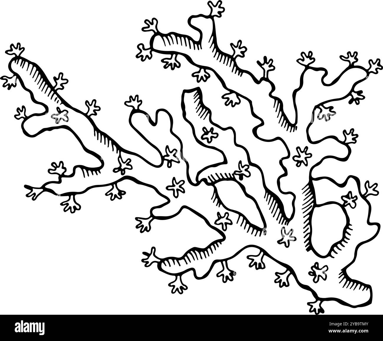 Coral reef branch drawing. Underwater nature polyp Stock Vector Image ...