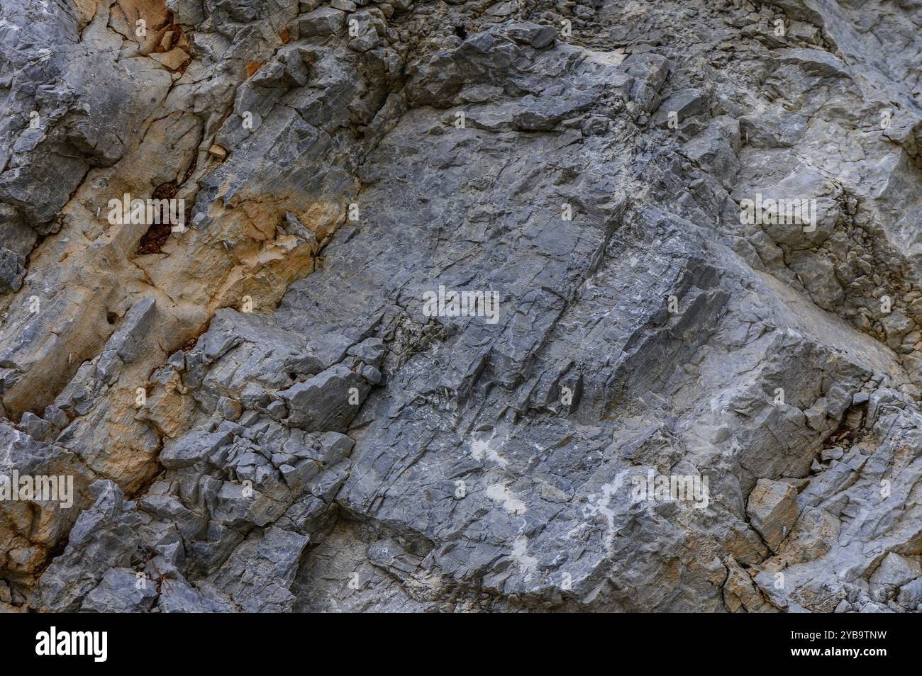 The imposing granite cliff face reveals intricate textures and ...