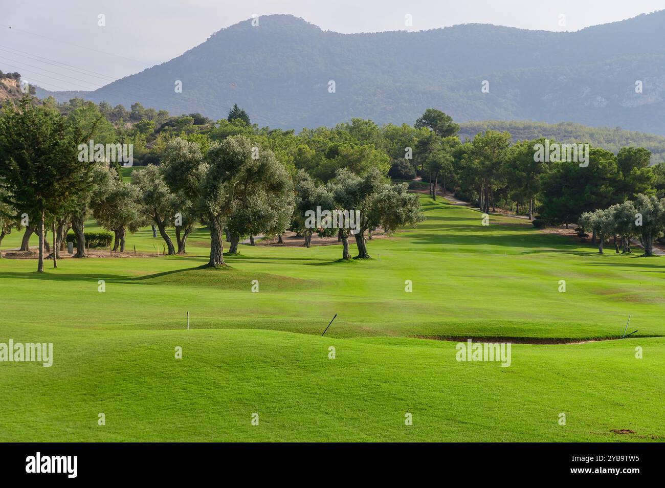 Vast expanse lush greenery stretches hi-res stock photography and ...