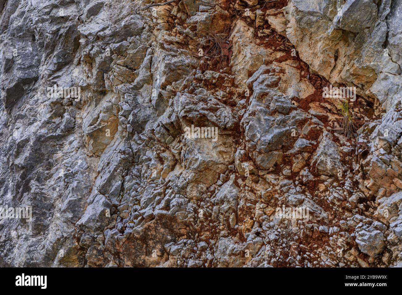 The rugged surface of a rocky cliff reveals intricate textures and ...