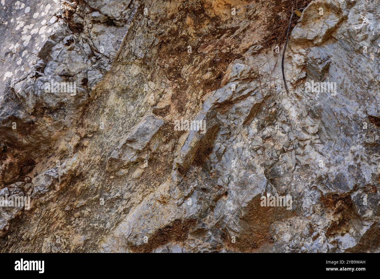 This rocky surface reveals a blend of textures and colors, highlighting ...