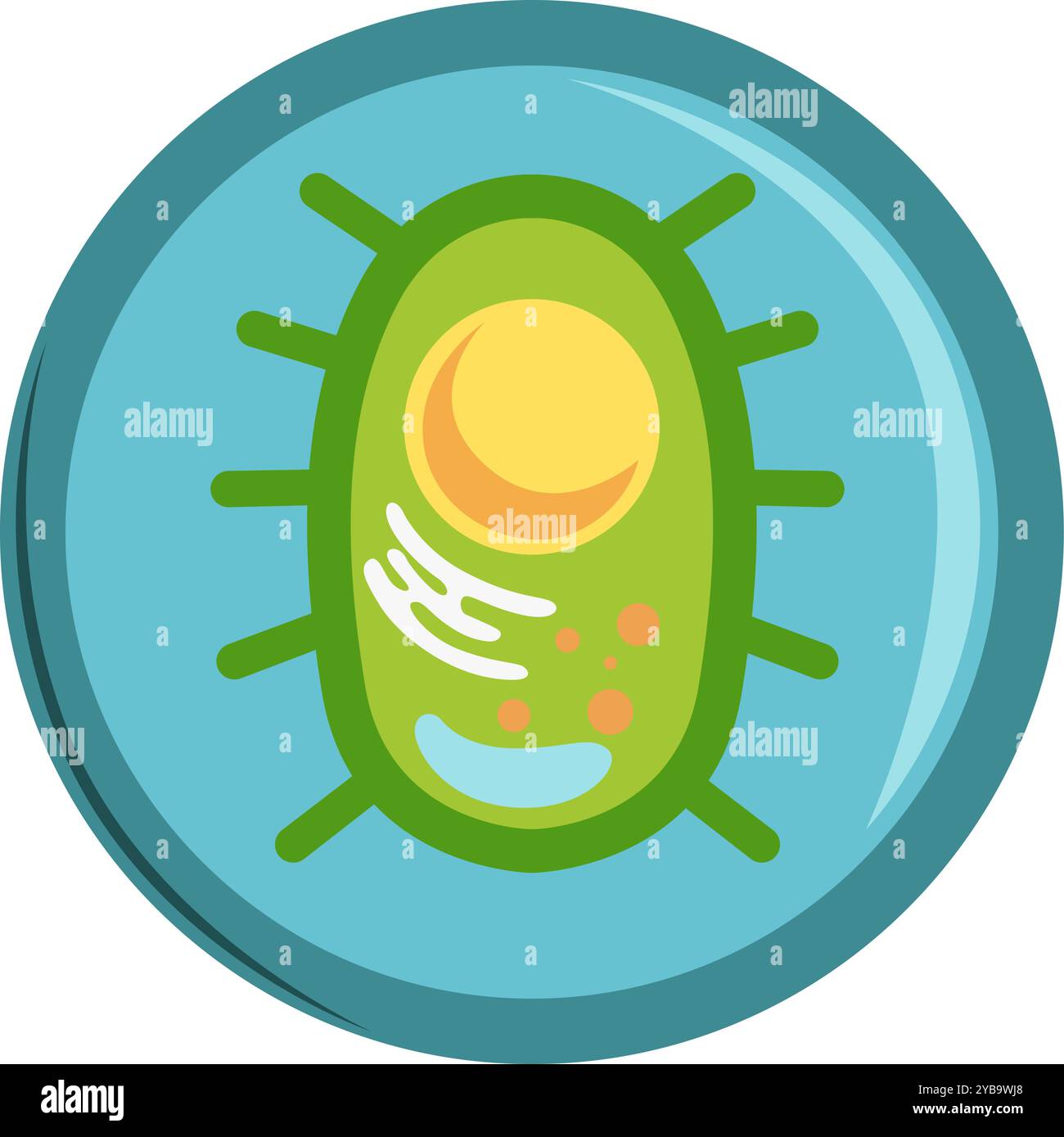 Bacteria cell in optical glass. Microbiology cartoon icon Stock Vector ...