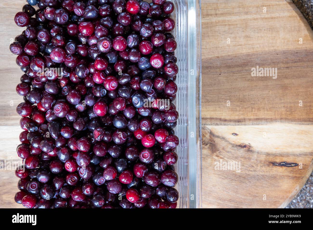 A close up of a bunch of huckleberries. The berries are small and round ...