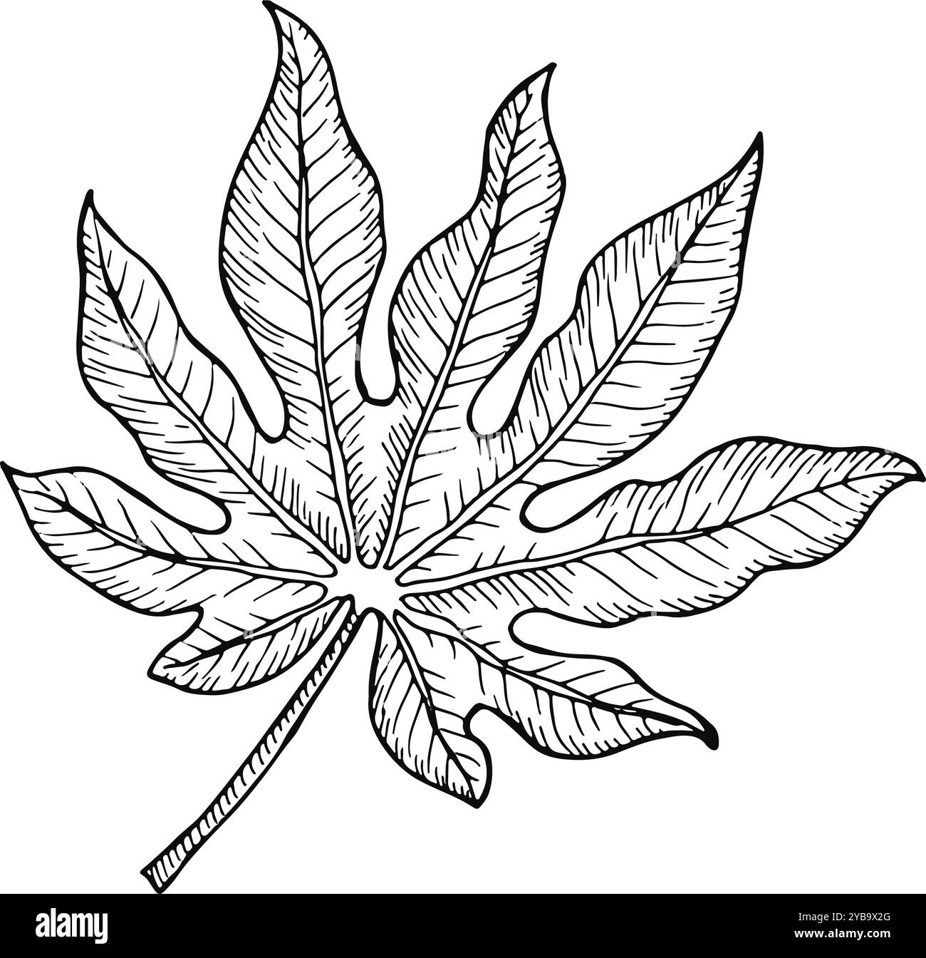 Jungle tree leaf drawing. Tropical flora sketch Stock Vector Image ...