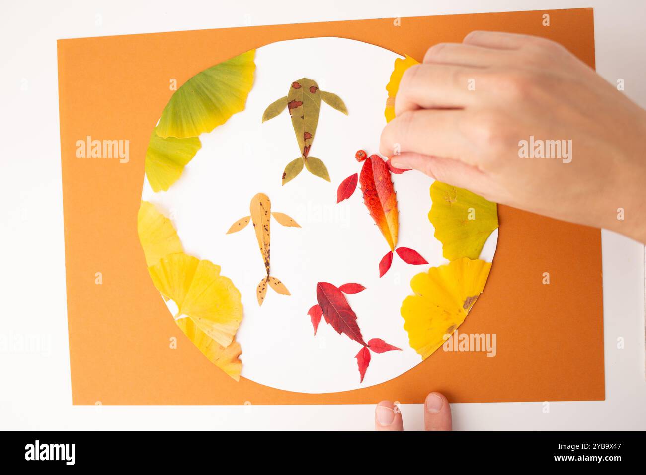 Japanese carp fish made of autumn leaves, yellow, green, red on white ...