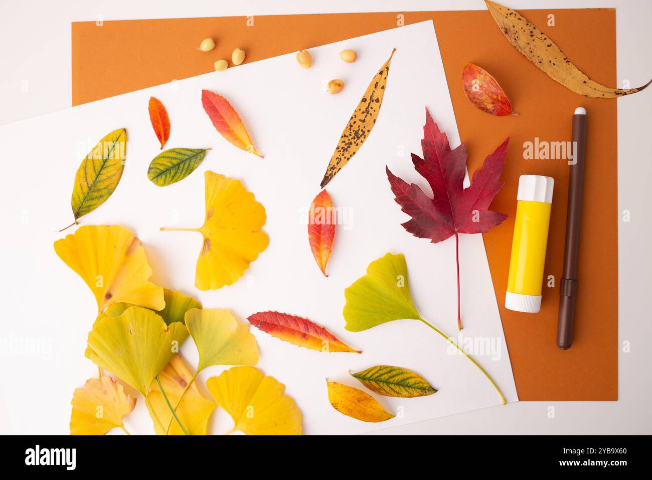 autumn leaves, yellow, red, green, scattered leaves, step in creative ...
