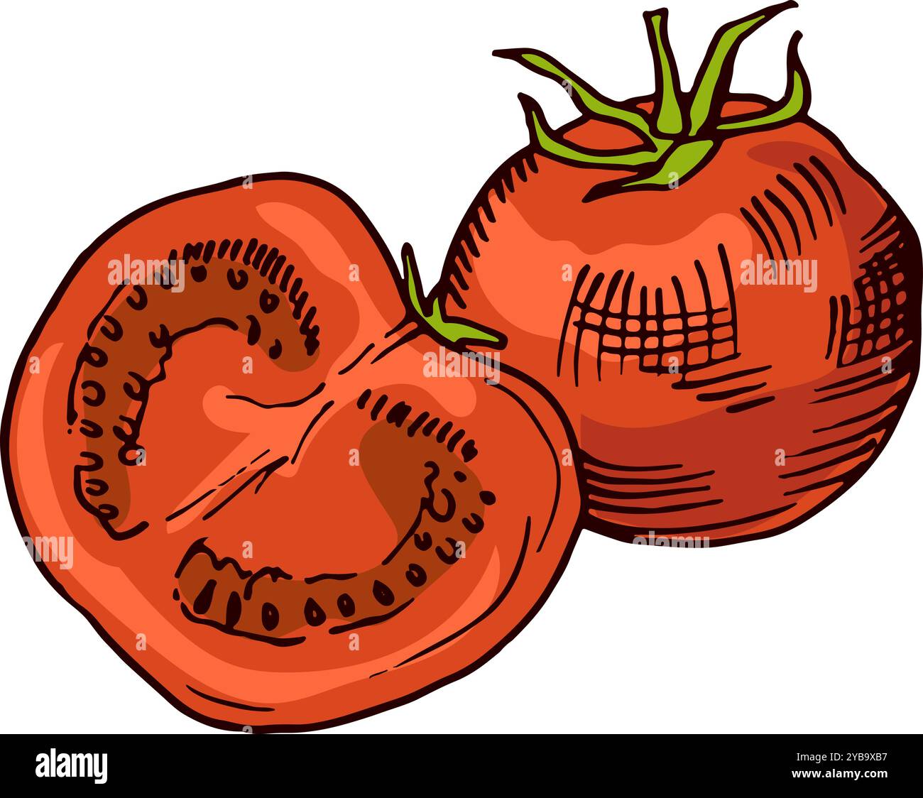 Tomato doodle. Whole vegetable and half cut icon Stock Vector Image ...