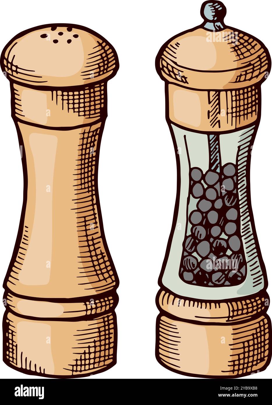 Pepper shaker. Spice grinder food flavor drawing Stock Vector Image ...