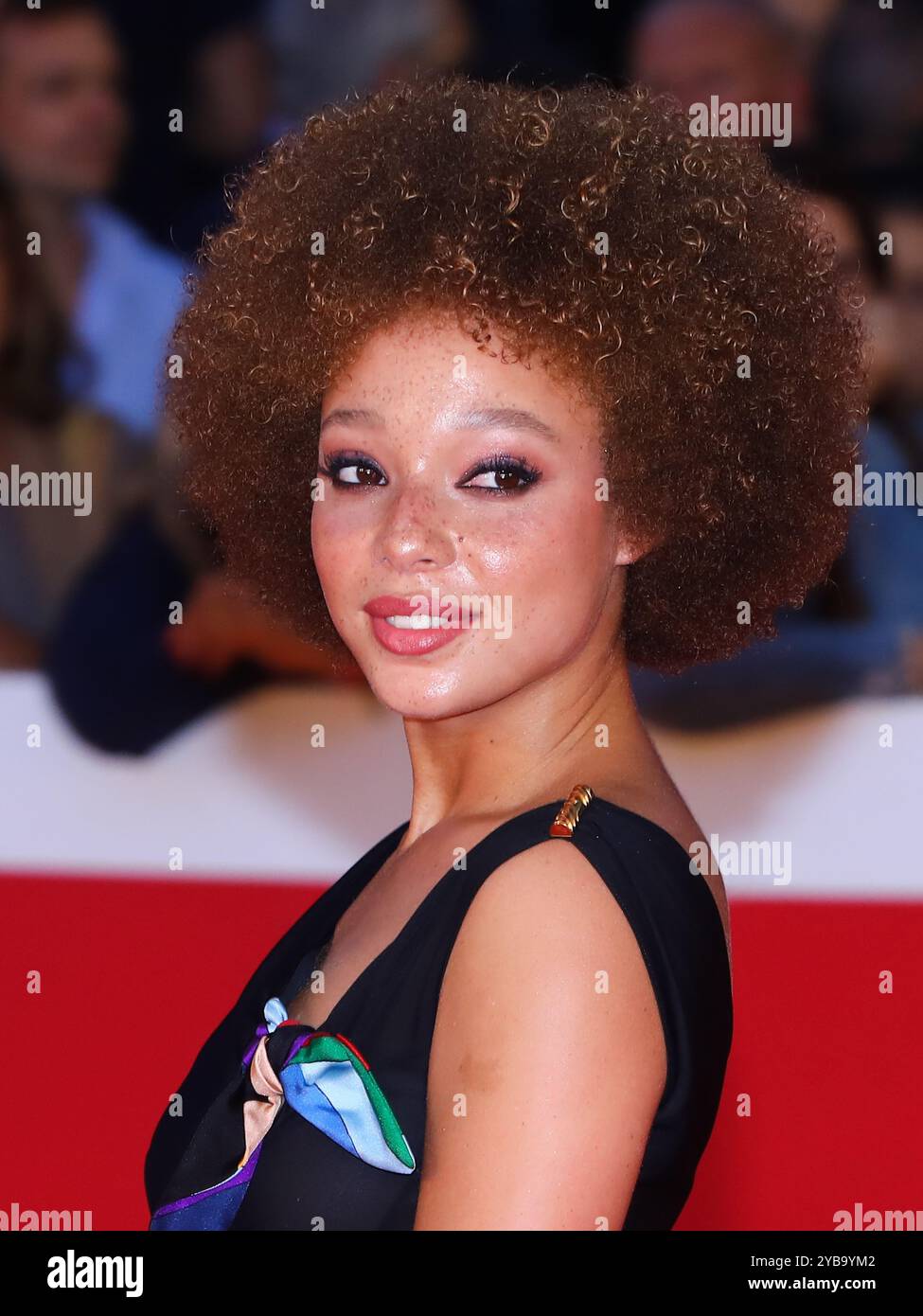 Roma Cinema Fest 2024. Rome Film Fest. Red carpet film "US Palmese ...