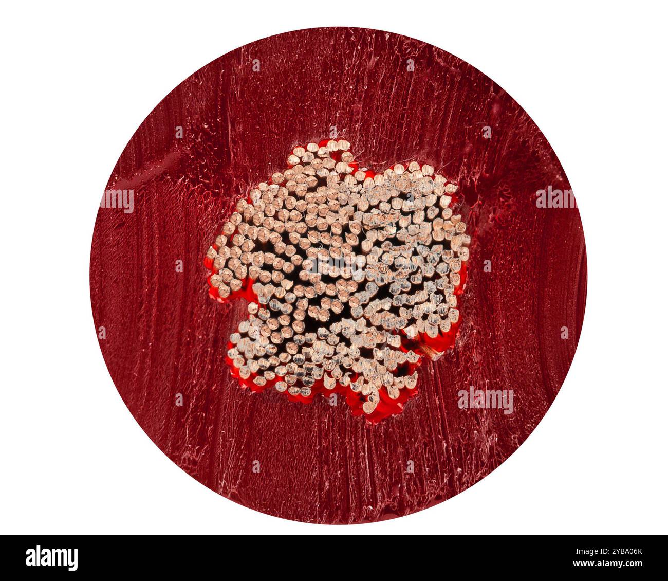 Cross section end view hi-res stock photography and images - Alamy