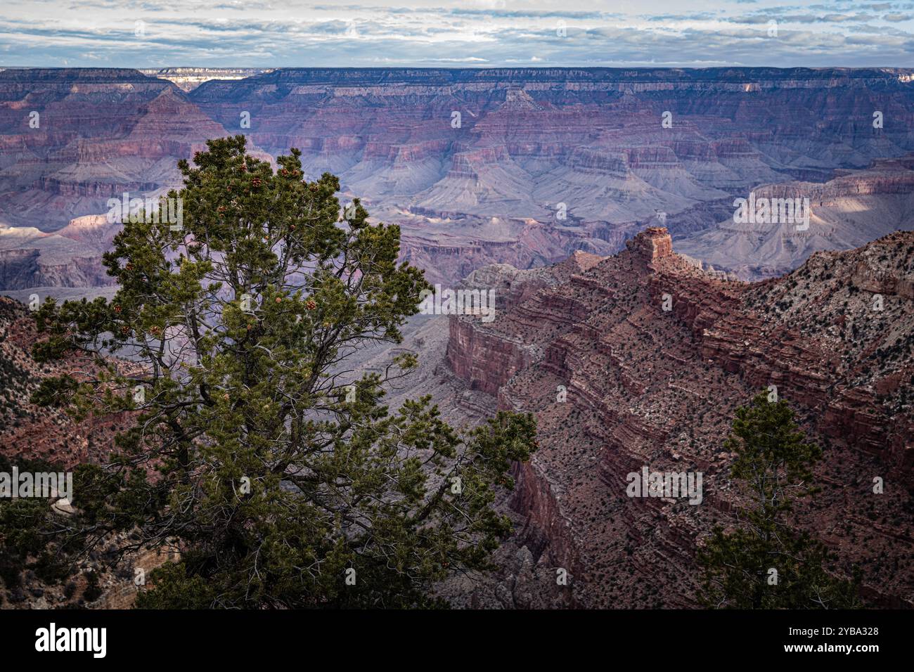 Grand Canyon National Park in Arizona is a World Heritage Site and ...