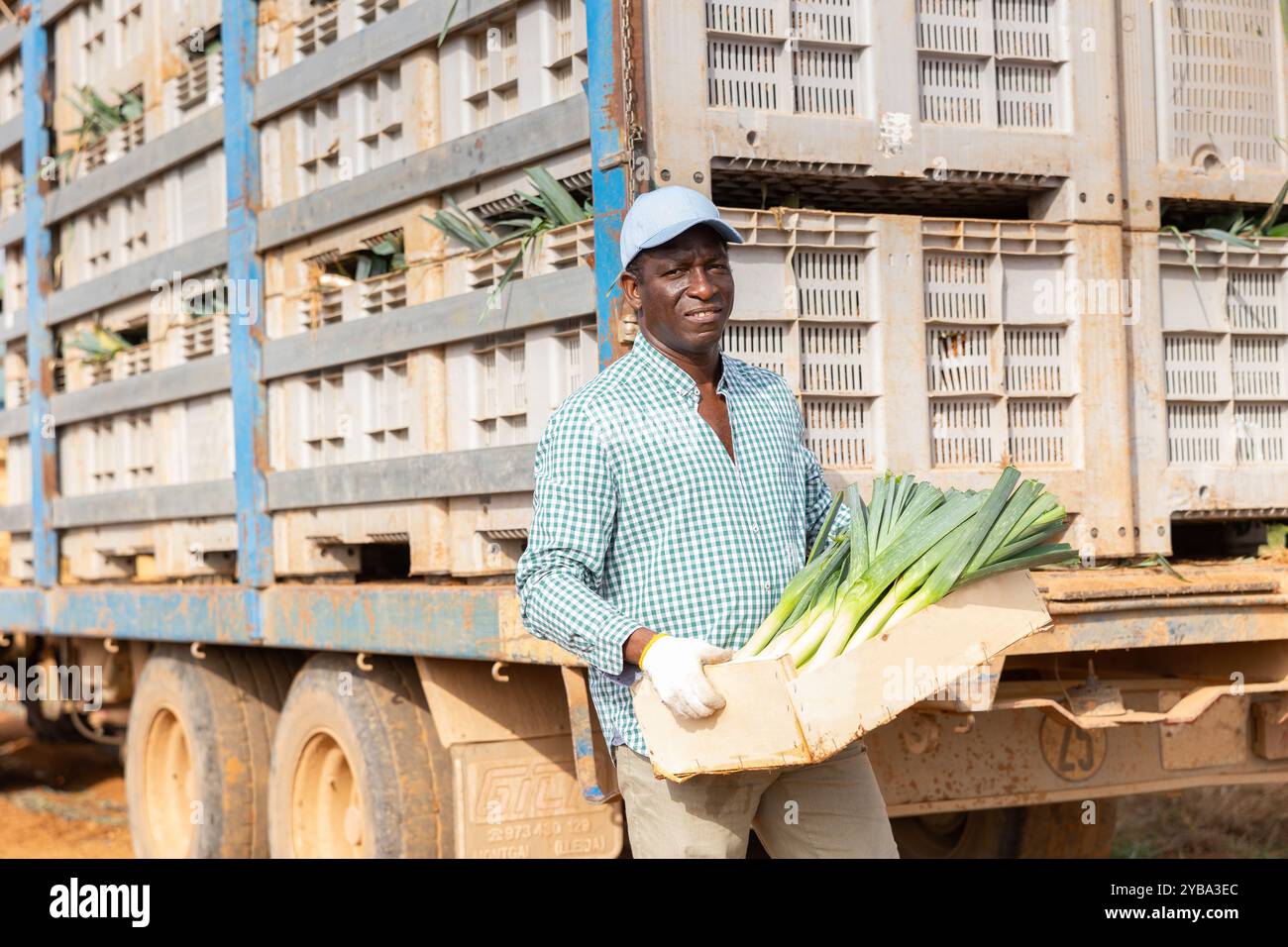African american farmer holding crate with leeks standing next to truck ...