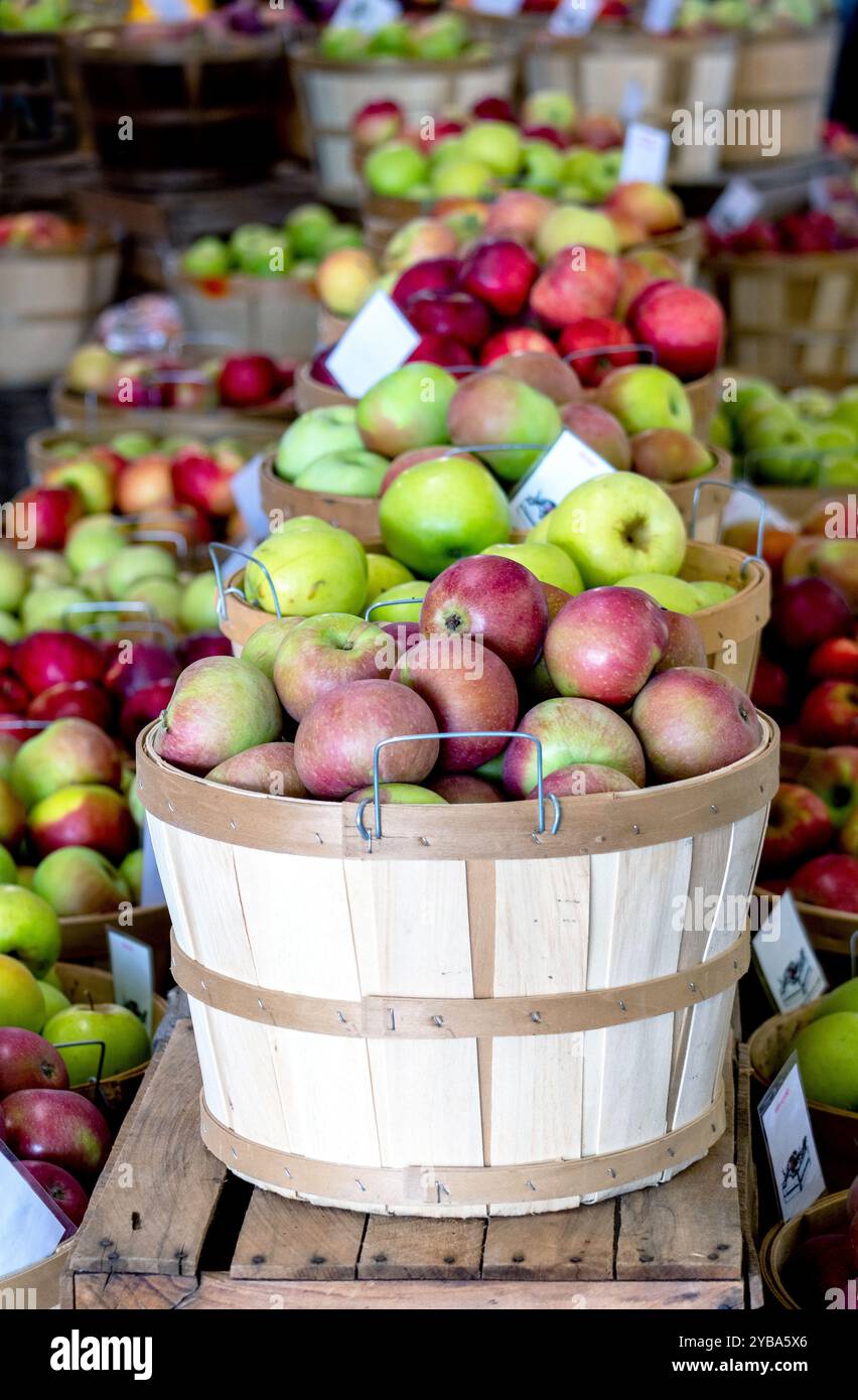 Many varieties of apples are for sale at this Michigan apple orchard in ...