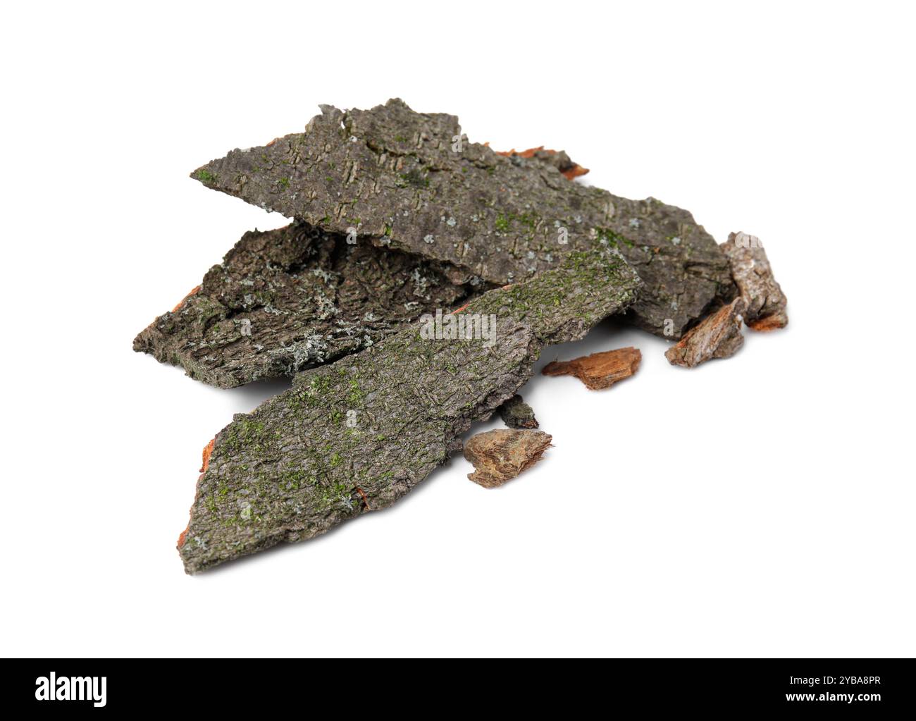 Pieces of tree bark isolated on white Stock Photo - Alamy