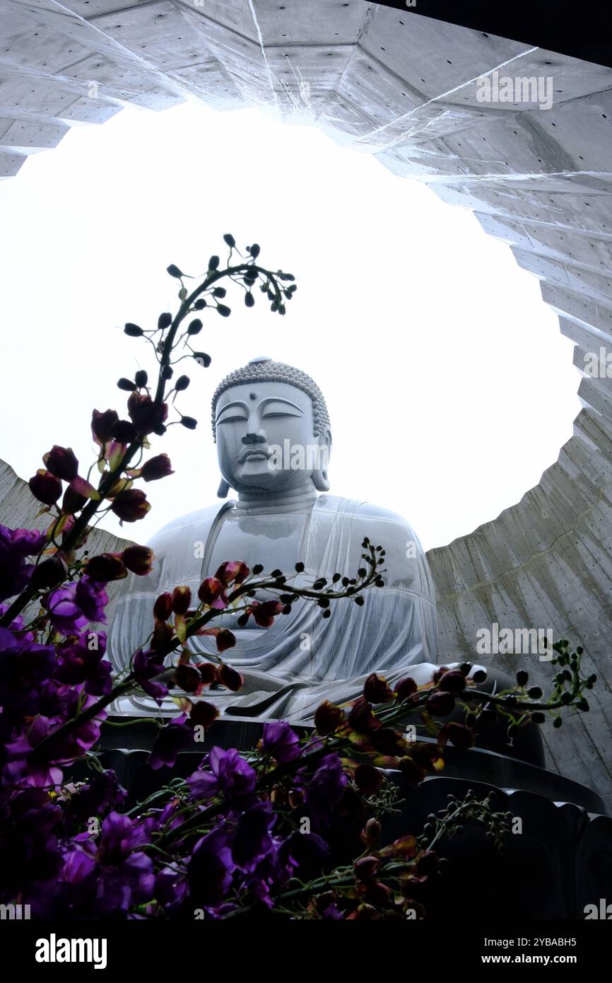 The Buddha statue in the Hill of the Buddha,the Buddhist Shrine ...