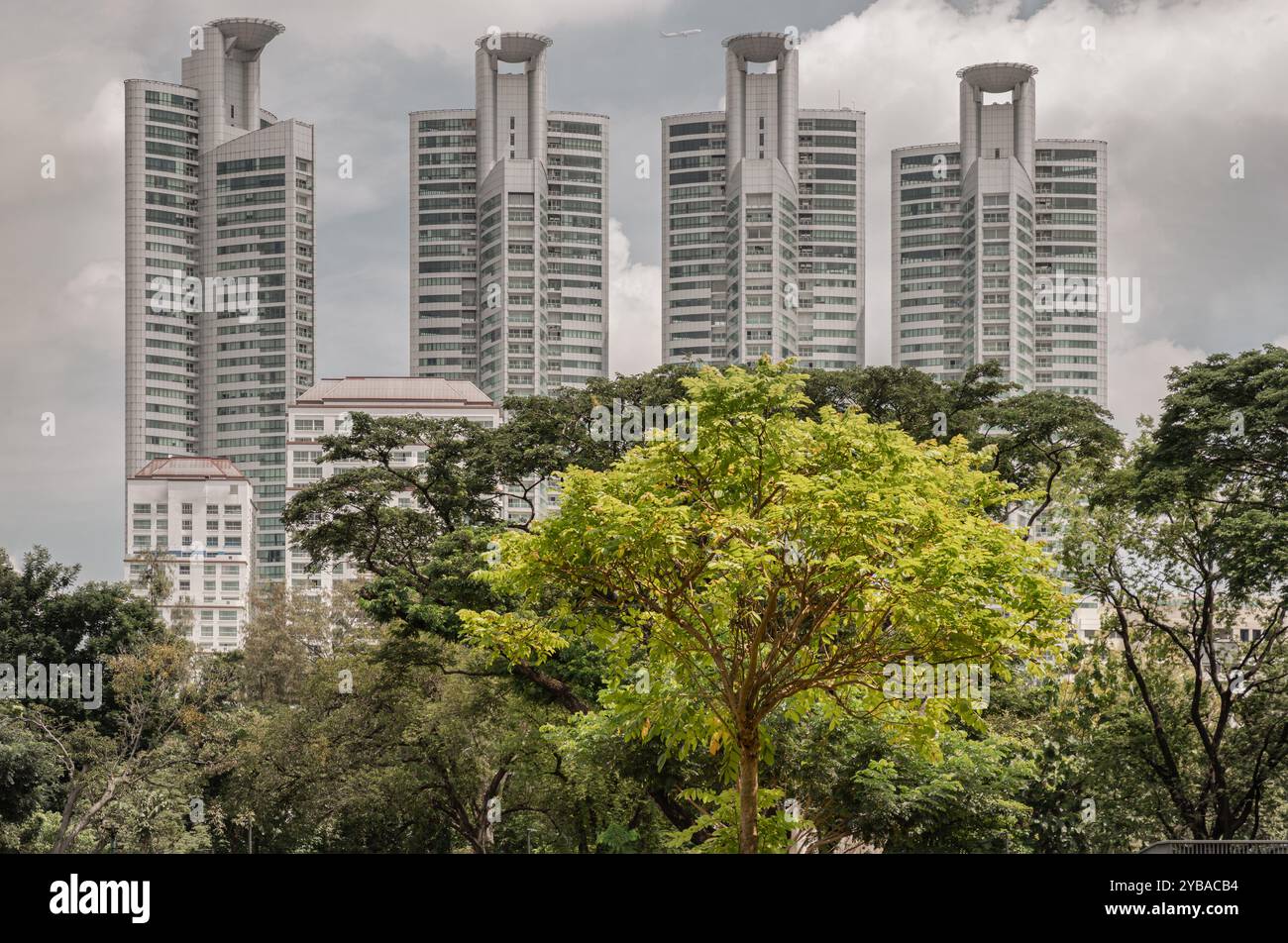 Bangkok, Thailand - 17 Oct, 2024 - The large trees in city park with ...