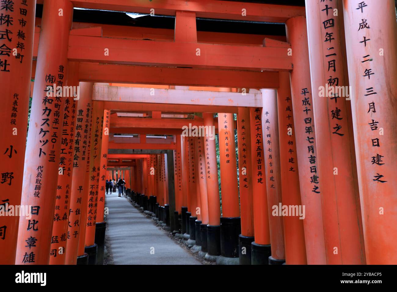 Senbon Torii gates in Fushimi Inari-taisha shrine. Kyoto,Kansai,Japan ...