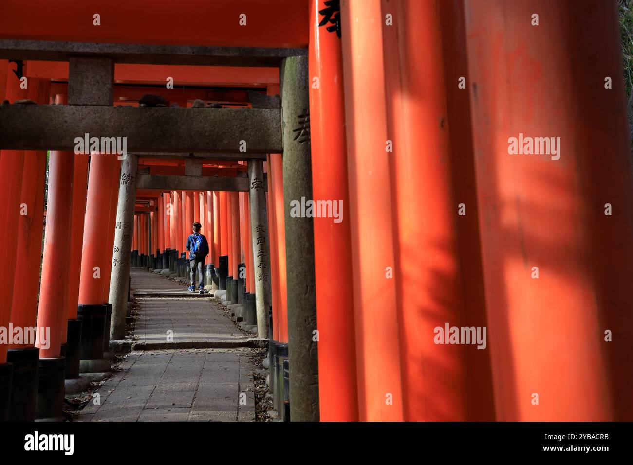 Senbon Torii gates in Fushimi Inari-taisha shrine. Kyoto,Kansai,Japan ...