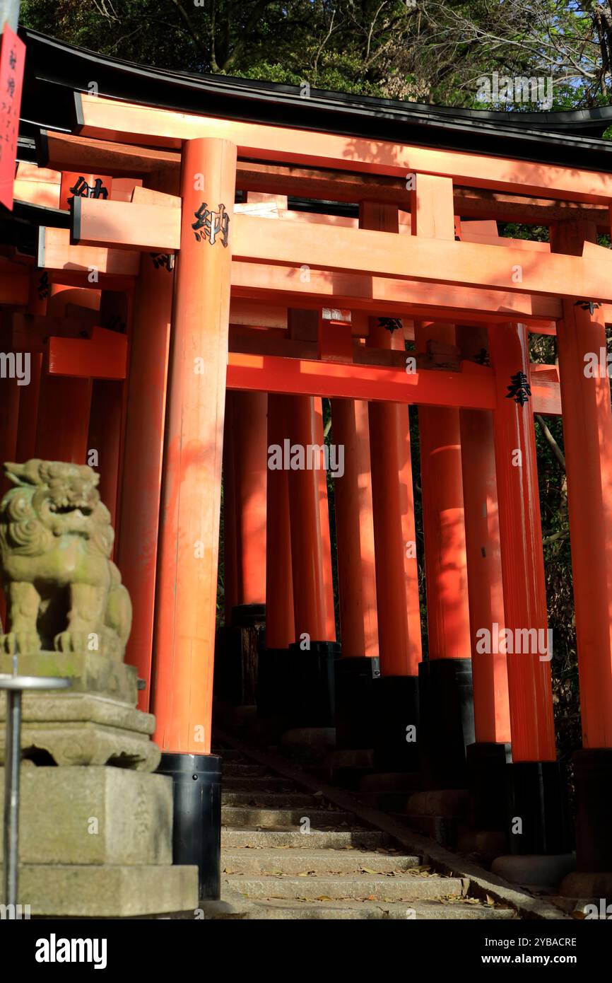 Stone torii gates hi-res stock photography and images - Alamy