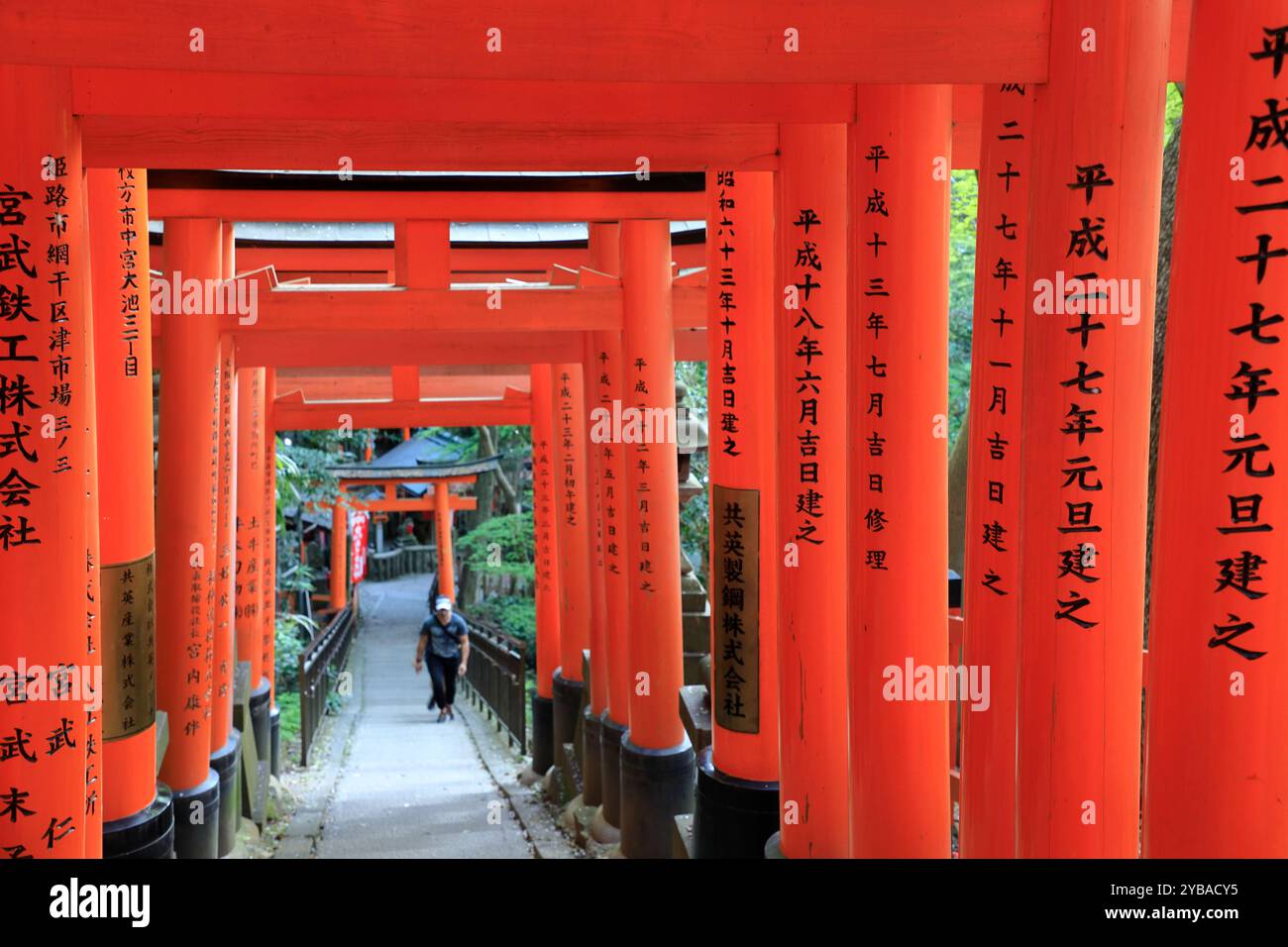 Senbon Torii gates in Fushimi Inari-taisha shrine. Kyoto,Kansai,Japan ...