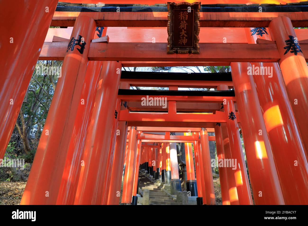 Senbon Torii gates in Fushimi Inari-taisha shrine. Kyoto,Kansai,Japan ...