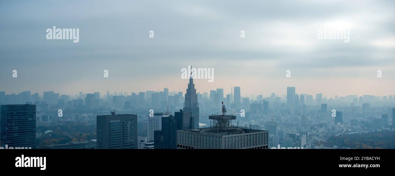 Tokyo Skyline from Shinjuku, Japan Stock Photo - Alamy