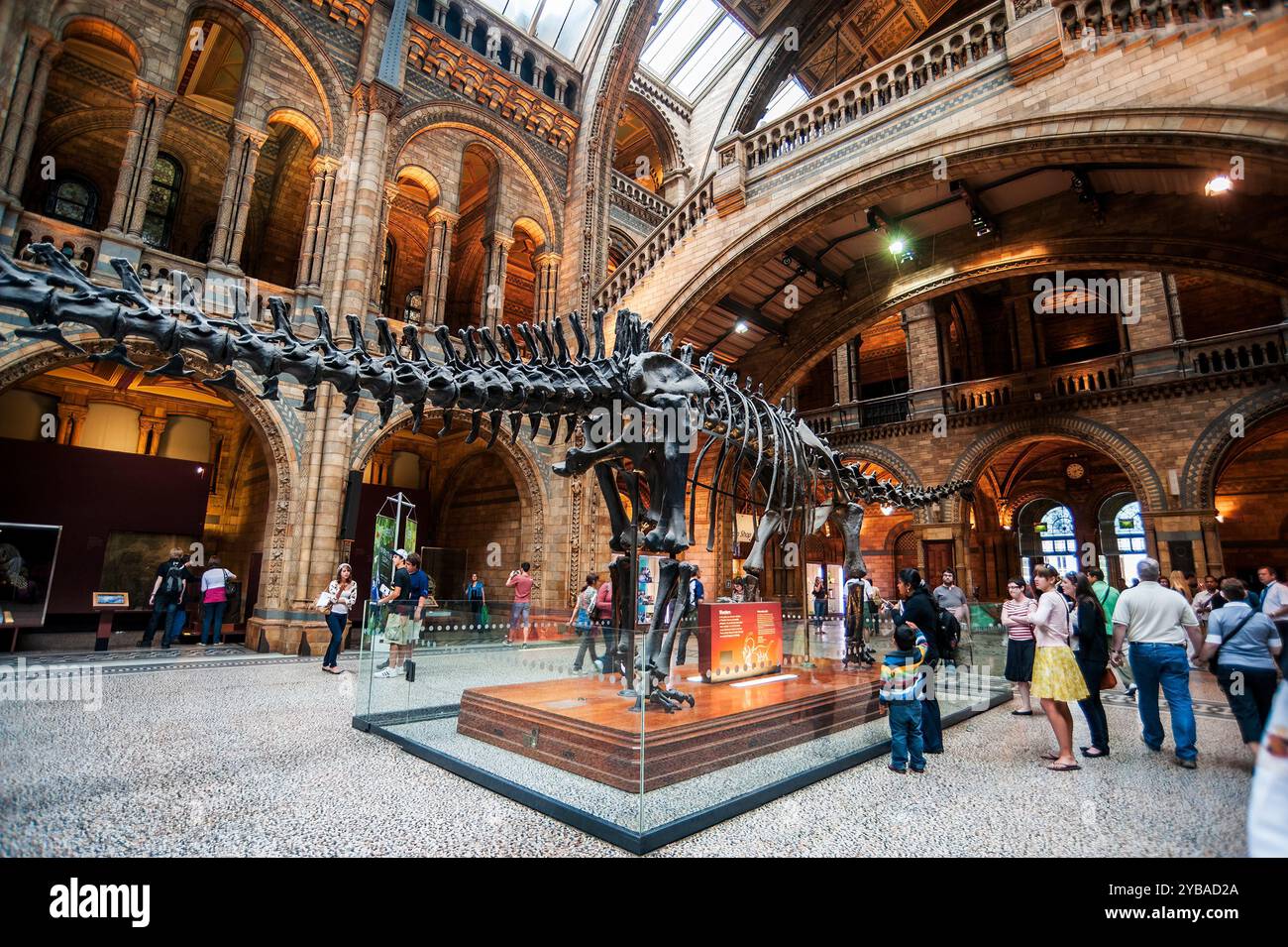 Natural History Museum, London, England, UK Stock Photo - Alamy