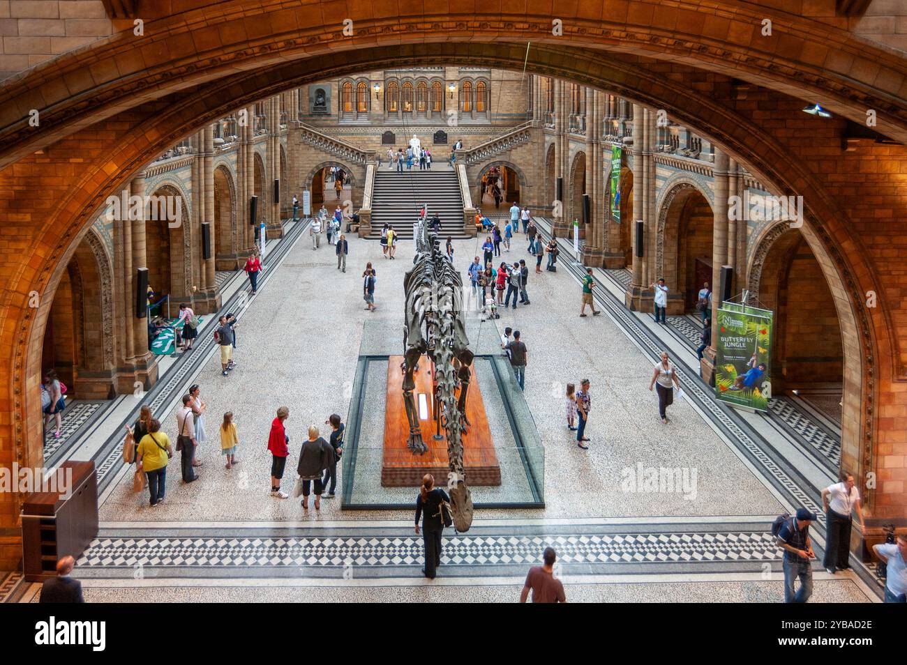 Natural History Museum, London, England, UK Stock Photo - Alamy