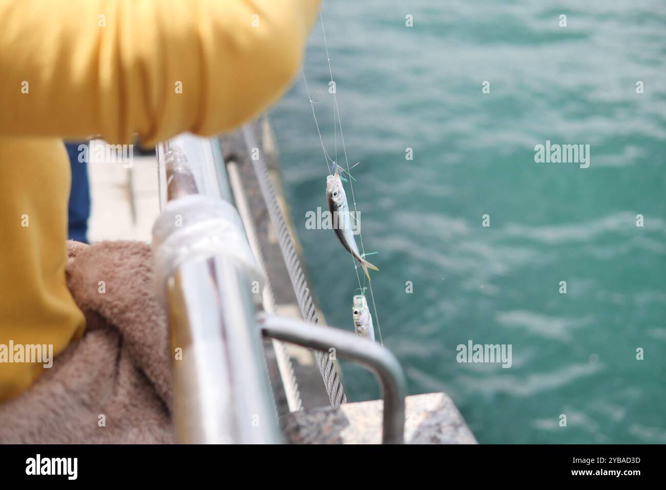 Fishing Adventure A Memorable Catch at the Tranquil Waters Edge During ...