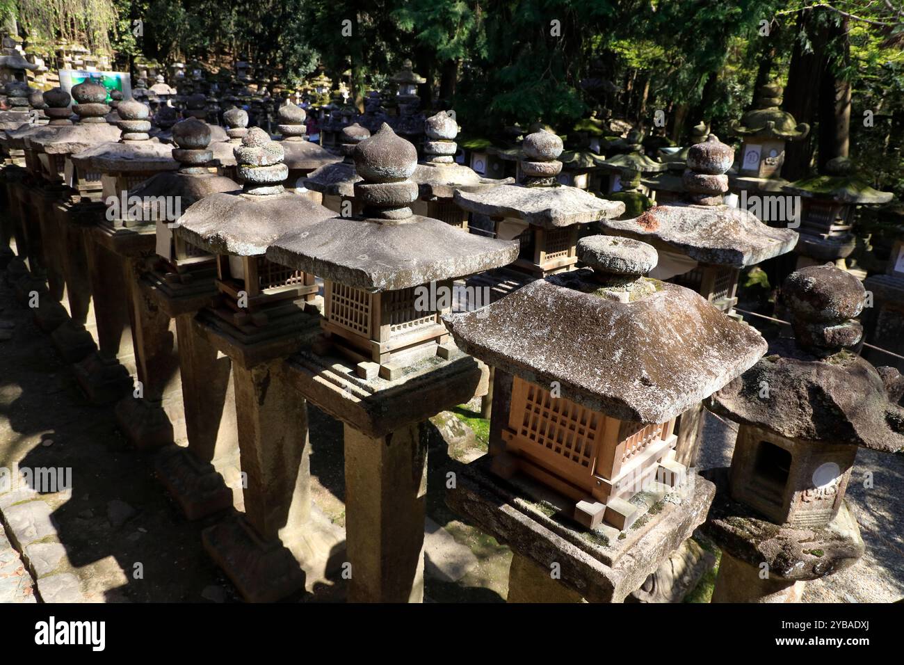 Thousands of traditional style stone lanterns in Kasuga-taisha Shrine ...