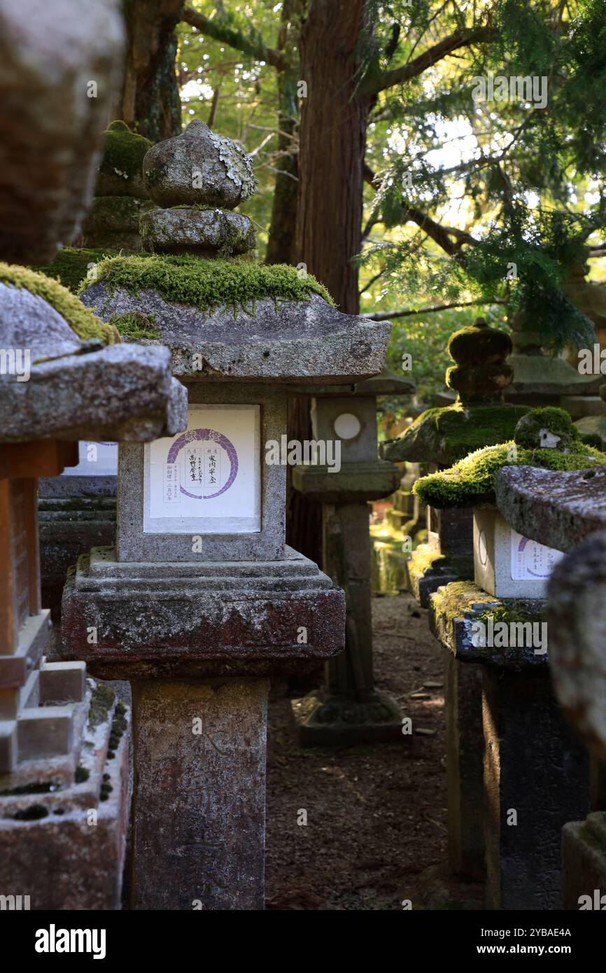 Thousands of traditional style stone lanterns covered with moss in ...