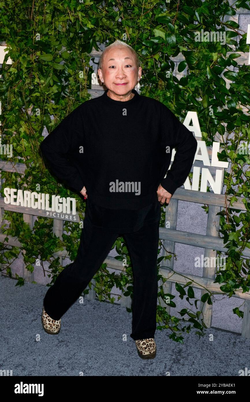 New York, United States. 17th Oct, 2024. Lori Tan Chinn during the A ...