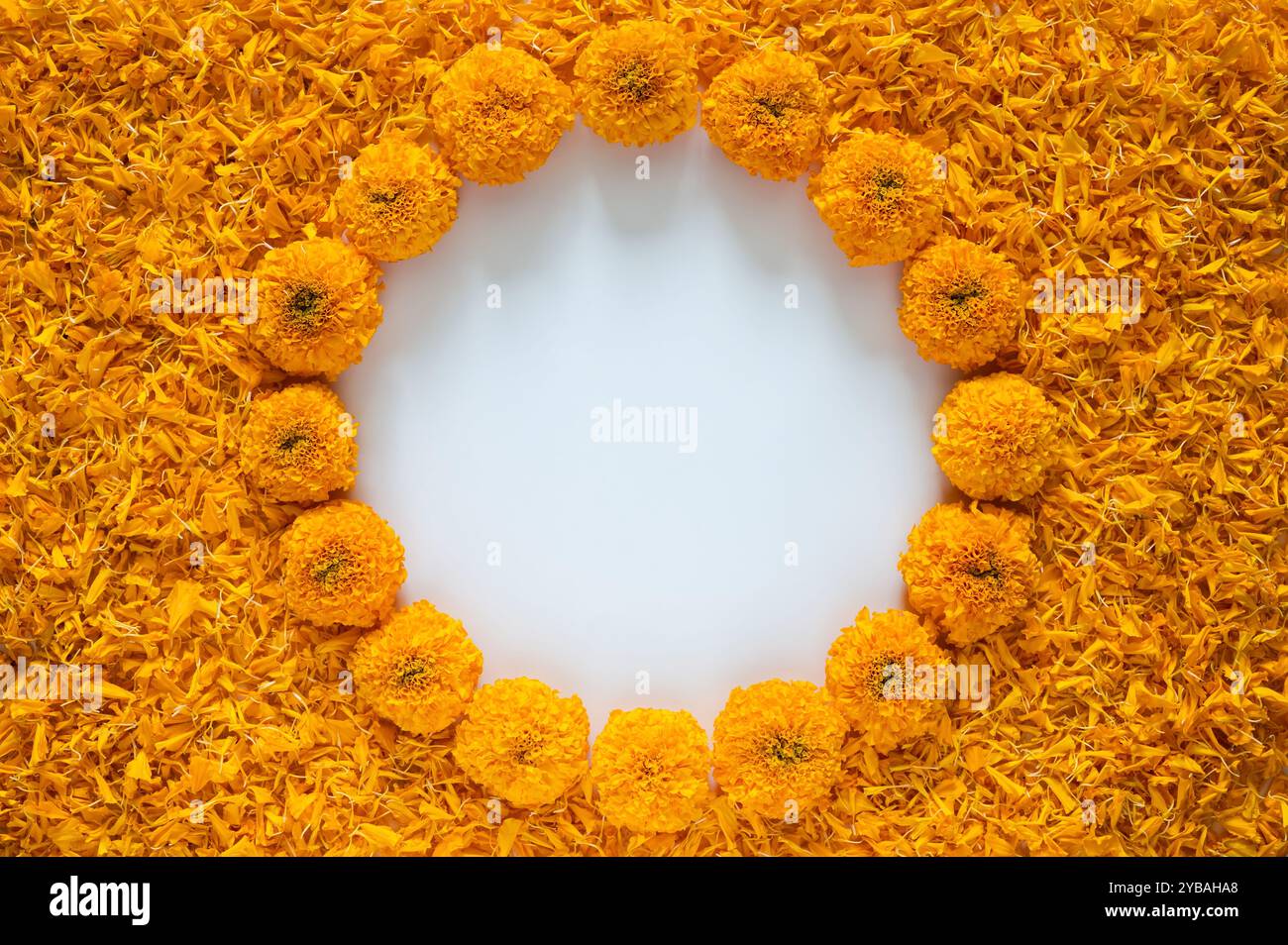 Decorative orange color marigold flowers and petals rangoli for Diwali ...