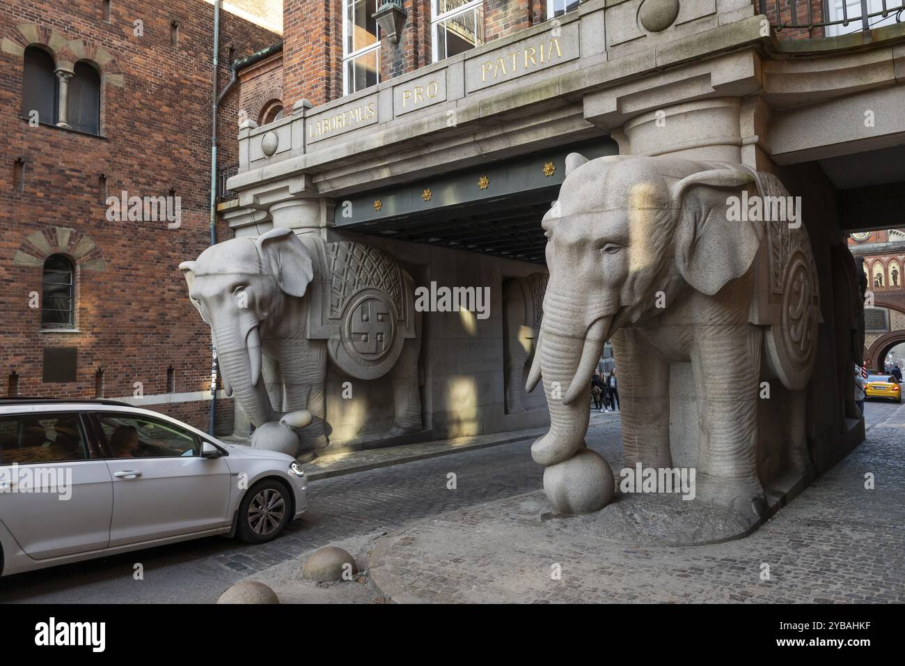 Elephants forms hi-res stock photography and images - Alamy