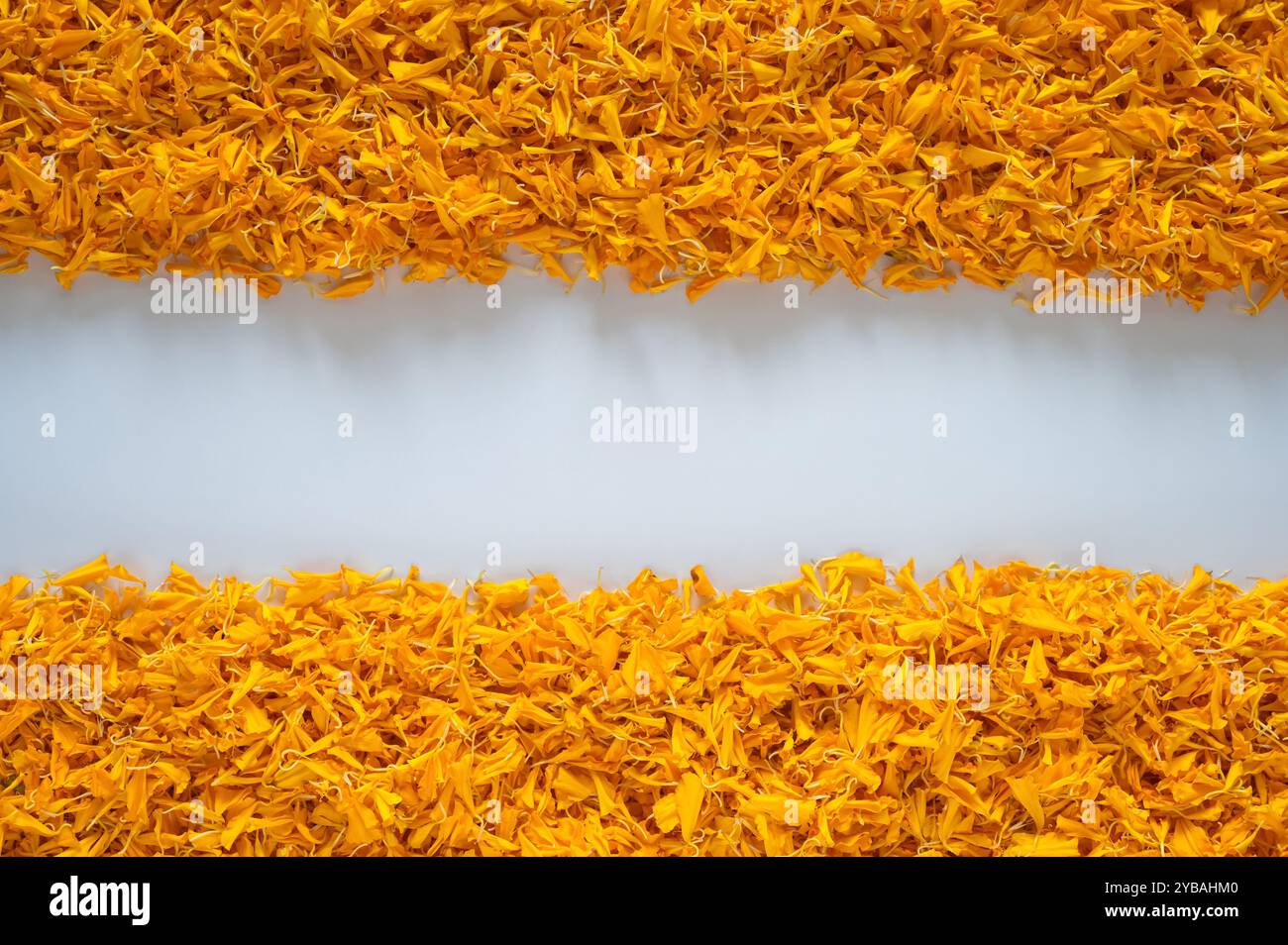 Decorative orange color marigold flower petals rangoli for Diwali ...