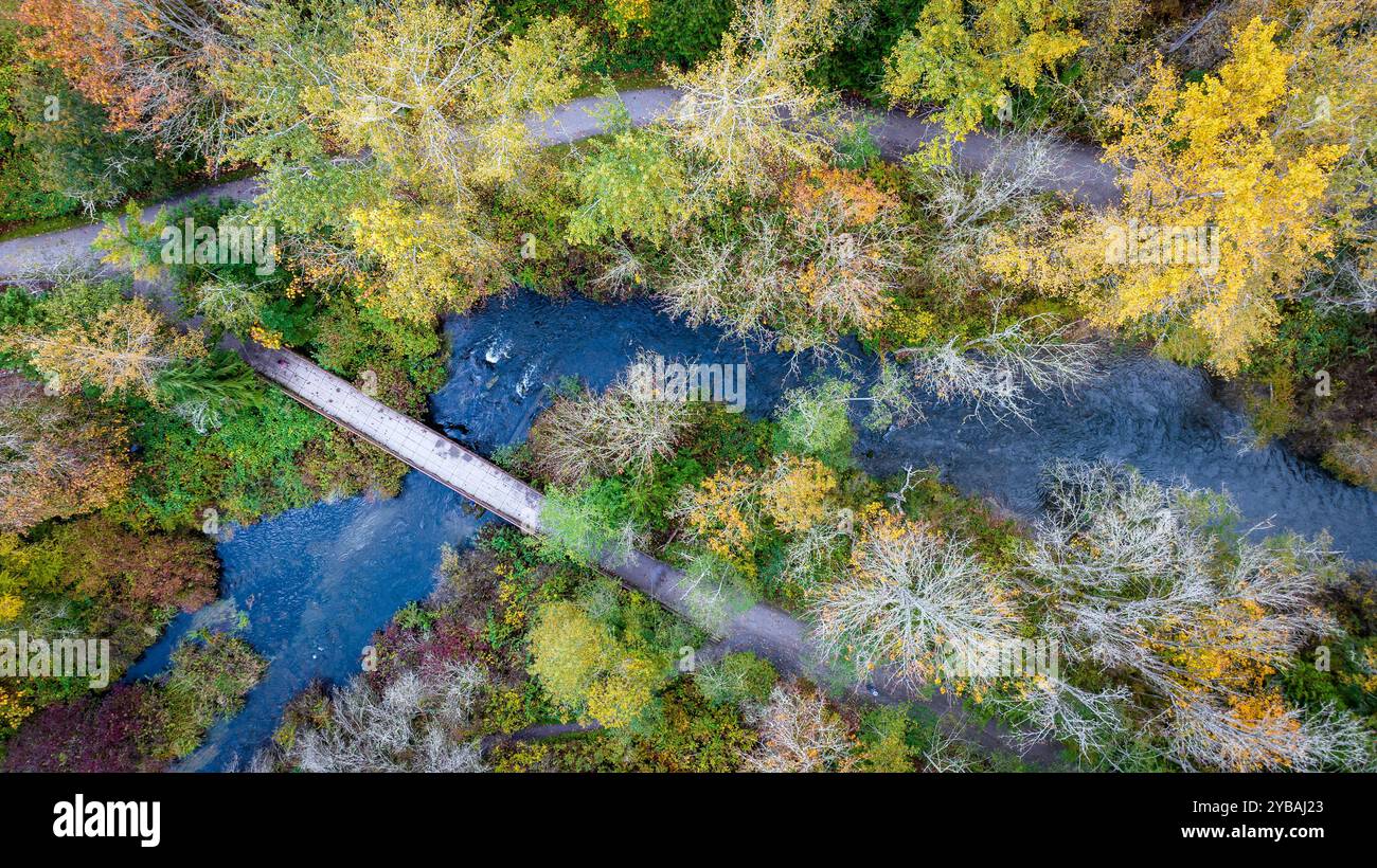 Aerial view of autumn foliage at Whatcom Falls, Bellingham, Washington ...