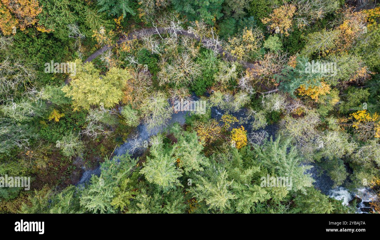 Aerial view of autumn foliage at Whatcom Falls, Bellingham, Washington ...