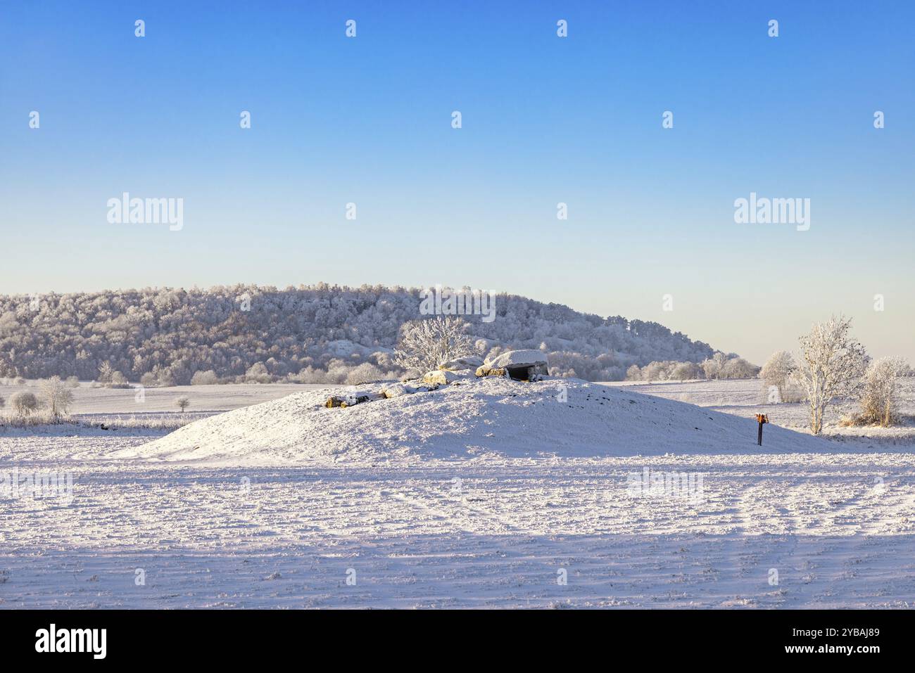 Passage grave on a hill in a beautiful winter landscape with snow and ...