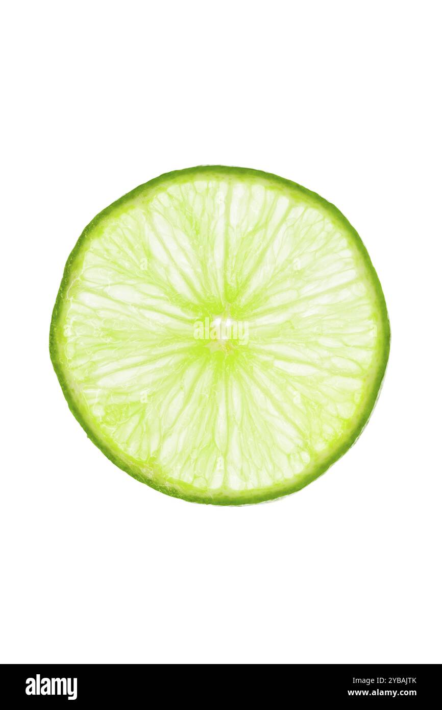 Fresh lime slice against a white background Stock Photo - Alamy