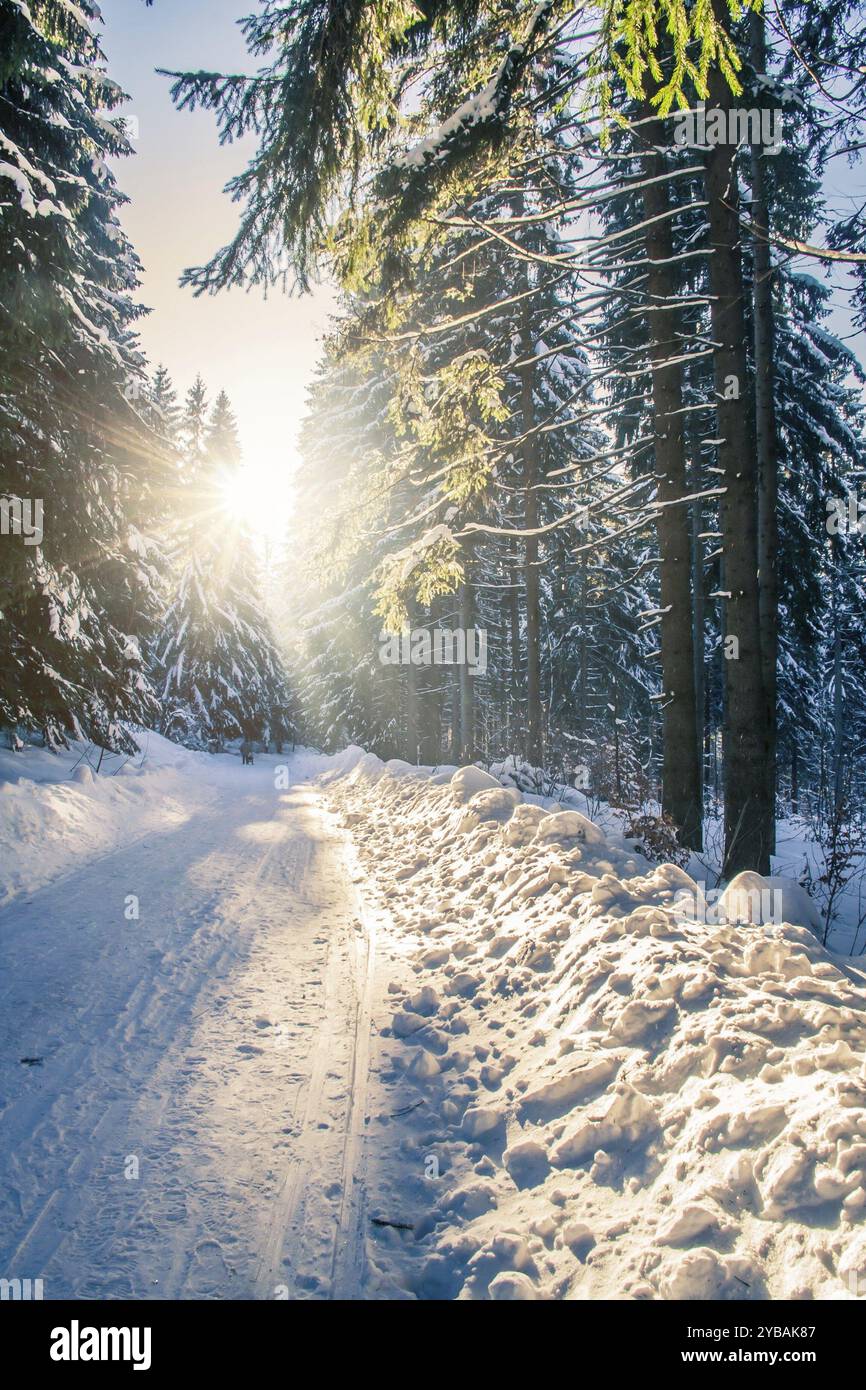 Winter hiking trail on the Rennsteig Stock Photo - Alamy