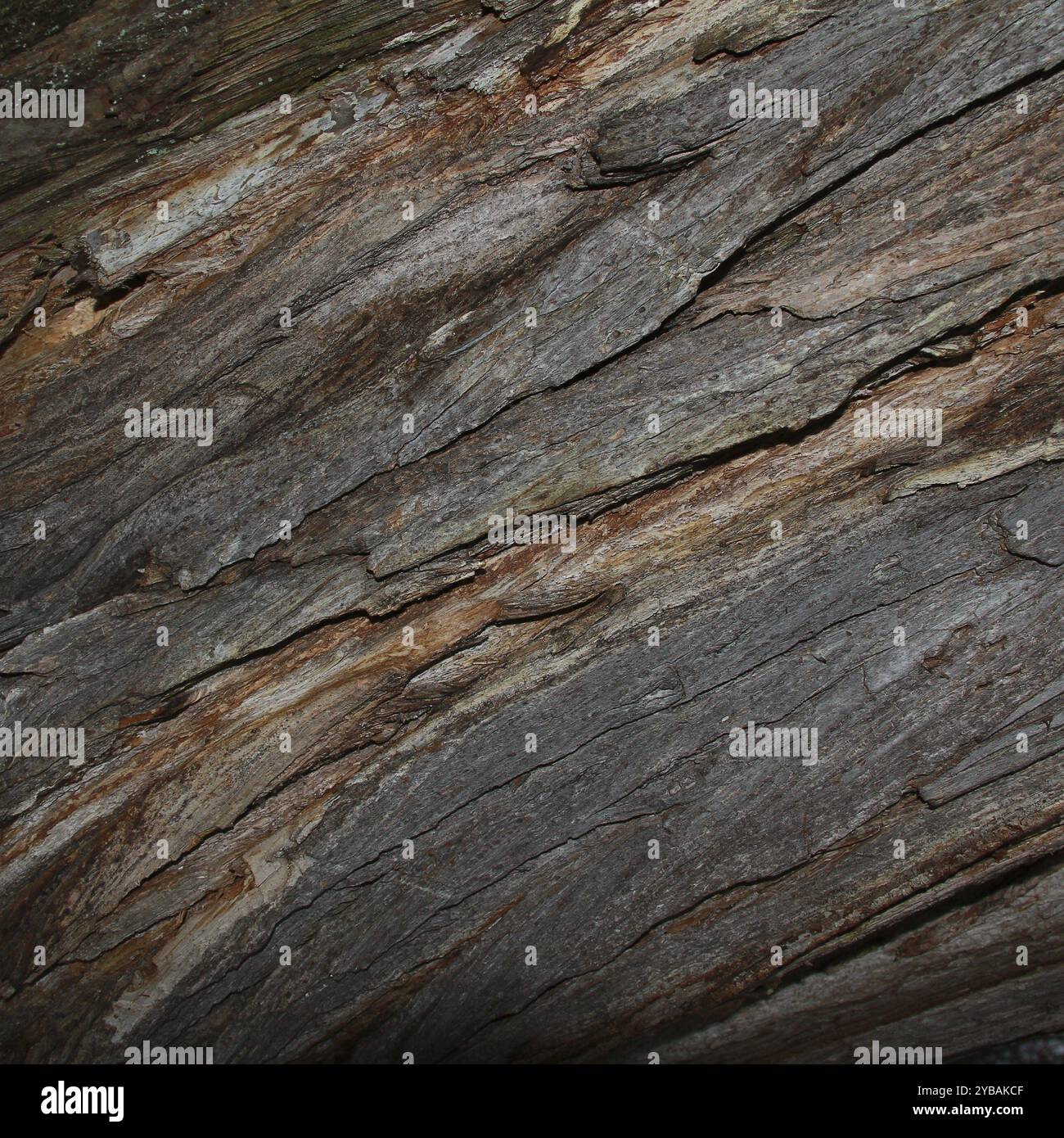 Tree structure diagonal Stock Photo - Alamy
