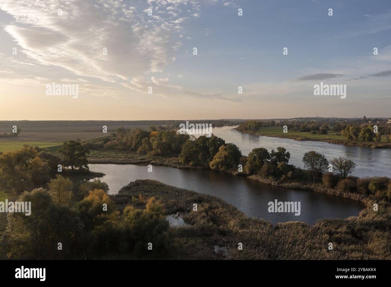 Idyllic river landscape with trees and cloudy sky at sunrise, Alte Elbe ...