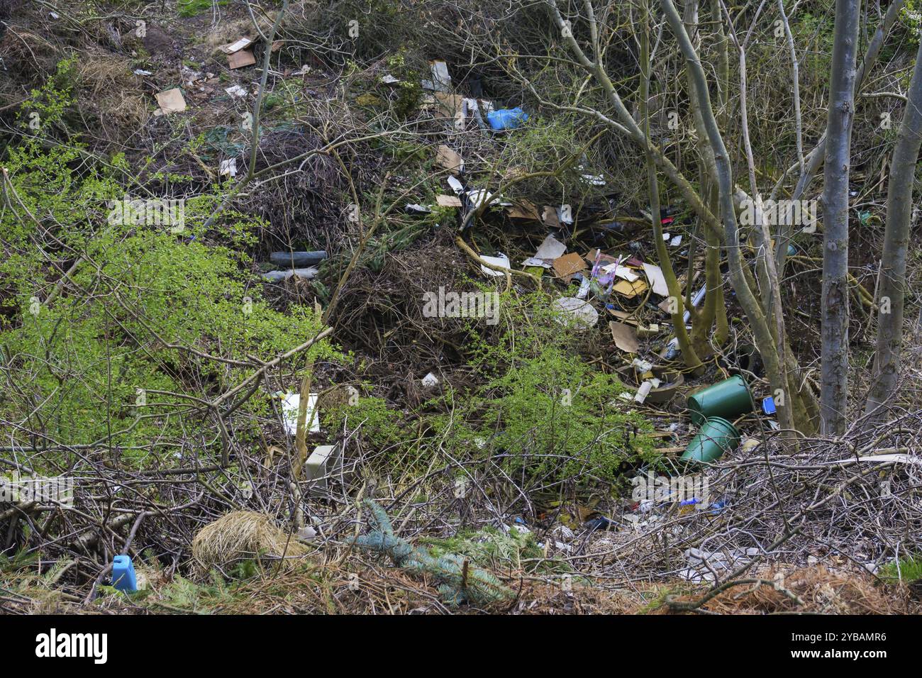Illegal waste dump in nature Illegal waste in nature Stock Photo - Alamy