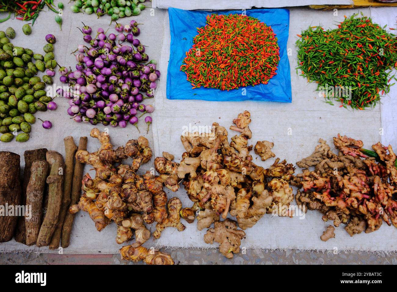 Colorful small green peppers, small red peppers, gingers and other ...