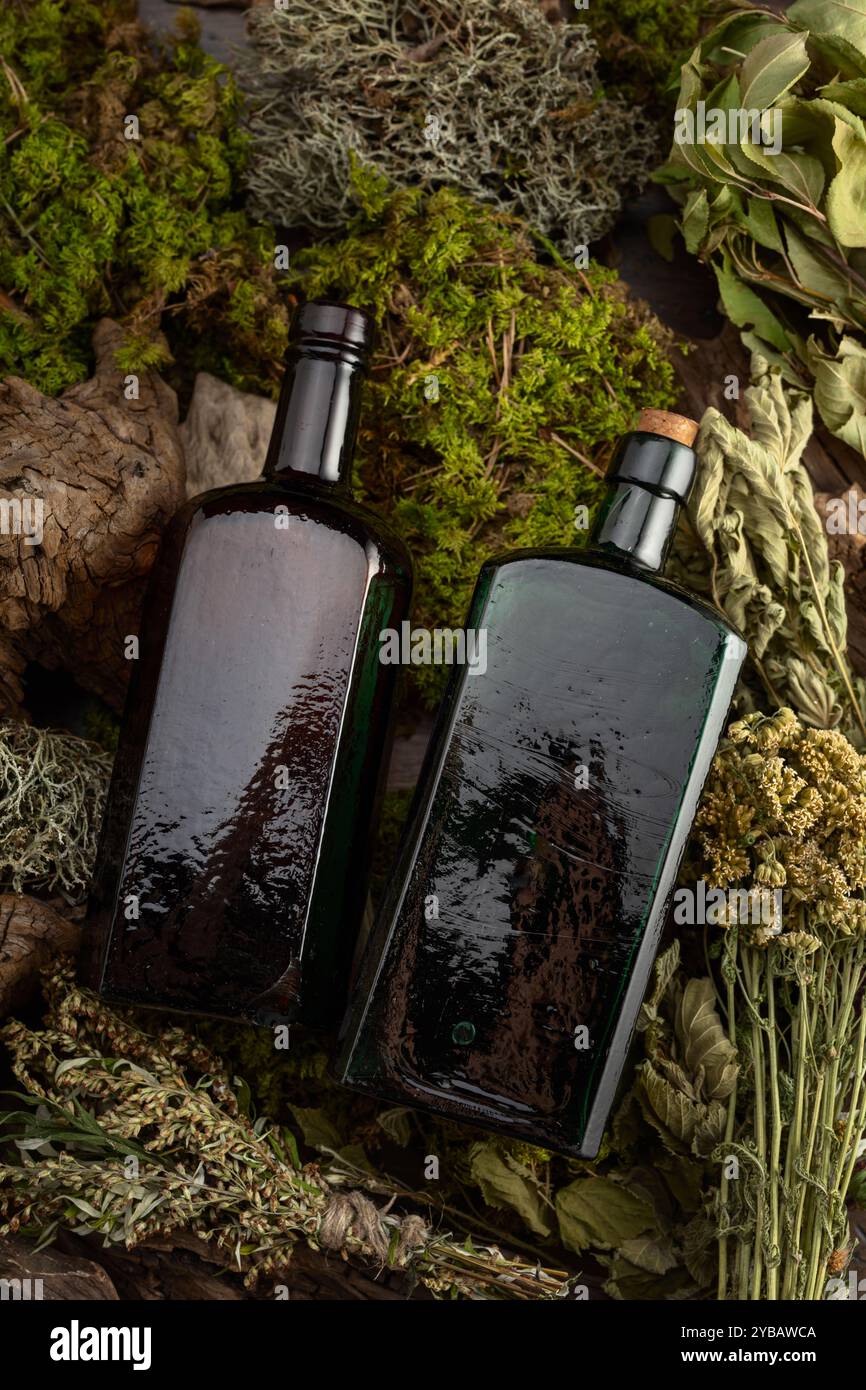 Vintage bottles with tinctures and various dried herbs. Concept of ...