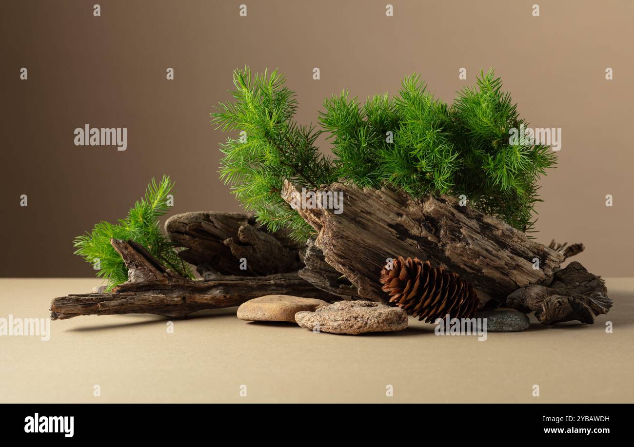 Abstract nature scene with a composition of spruce branches, stones ...