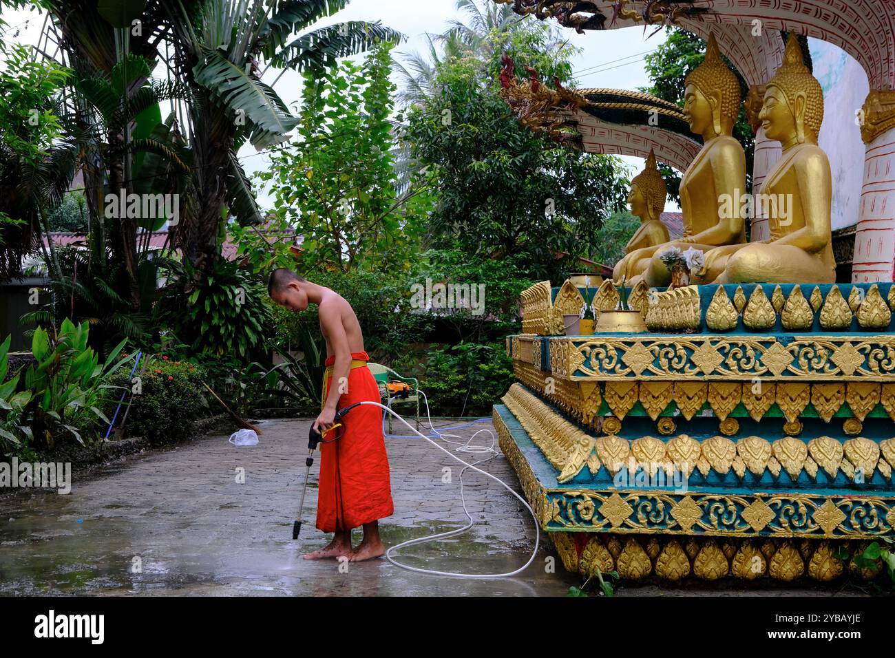 A young monk in saffron colored robe power washing the ground of Wat ...