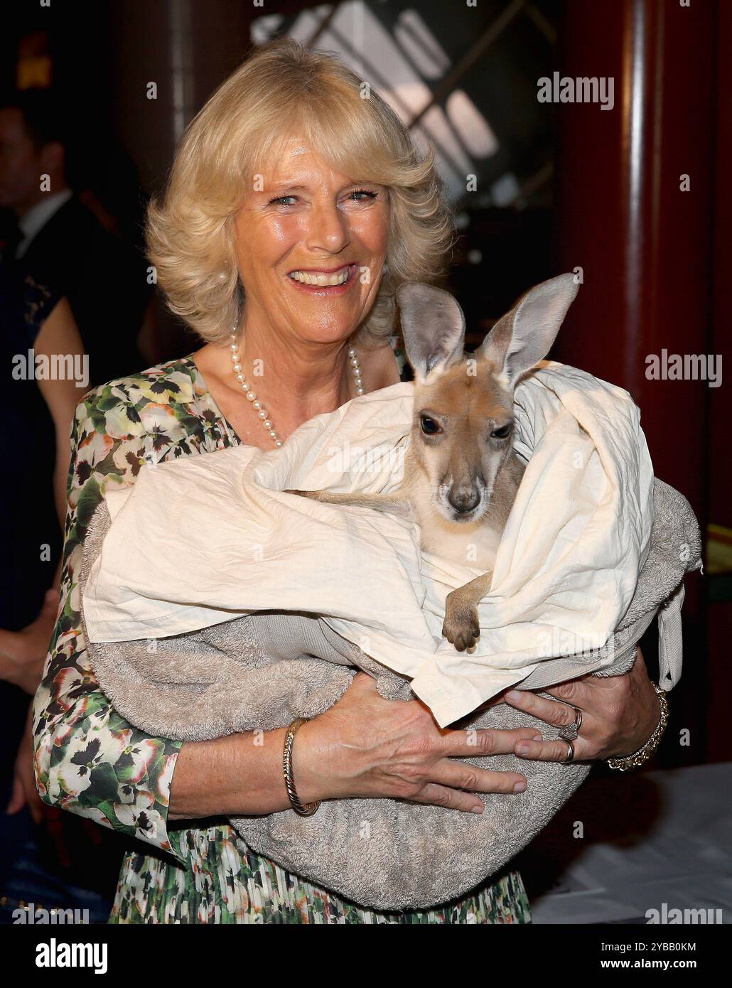 File photo dated 05/11/12 of Queen Camilla (then the Duchess of ...